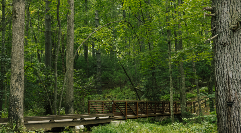 Looking Back at Ramble Summer - The Ramble Biltmore Forest Asheville NC